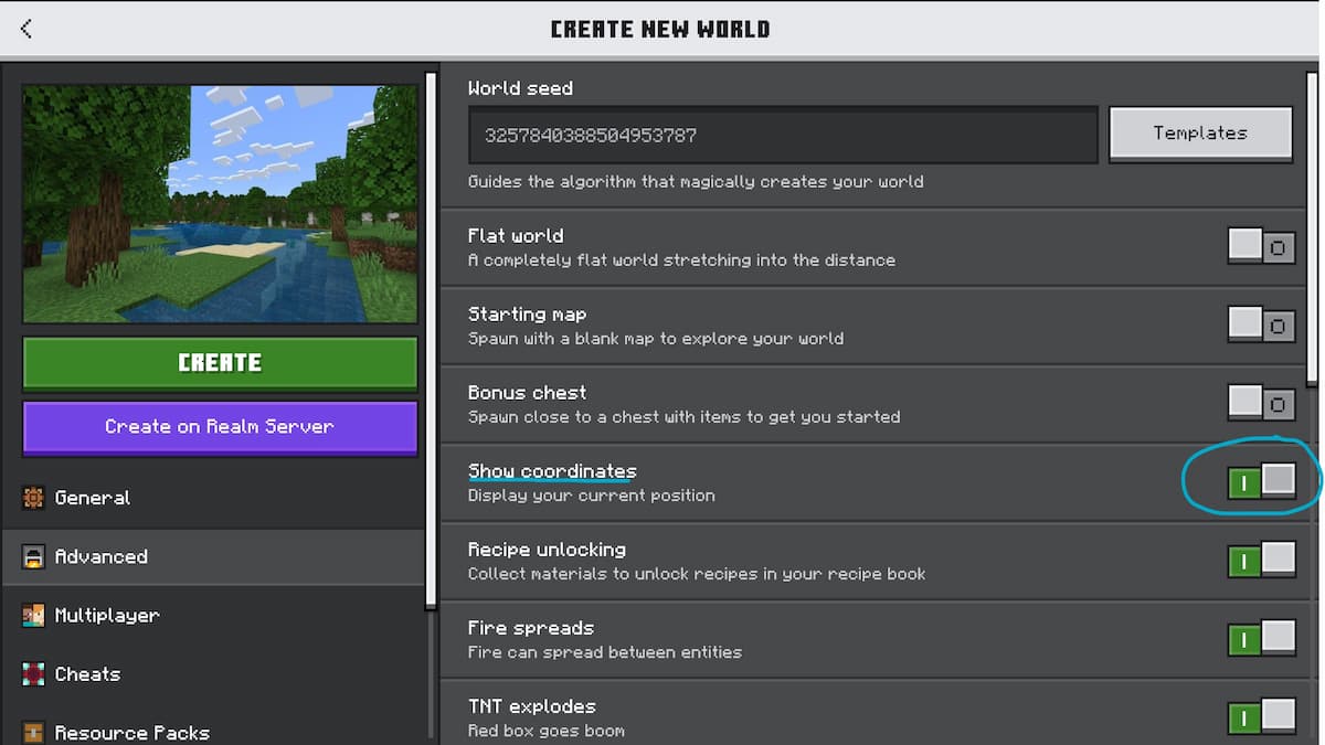 如何在 Minecraft Java 和 Bedrock (2025) 中显示坐标 - Recmg.com