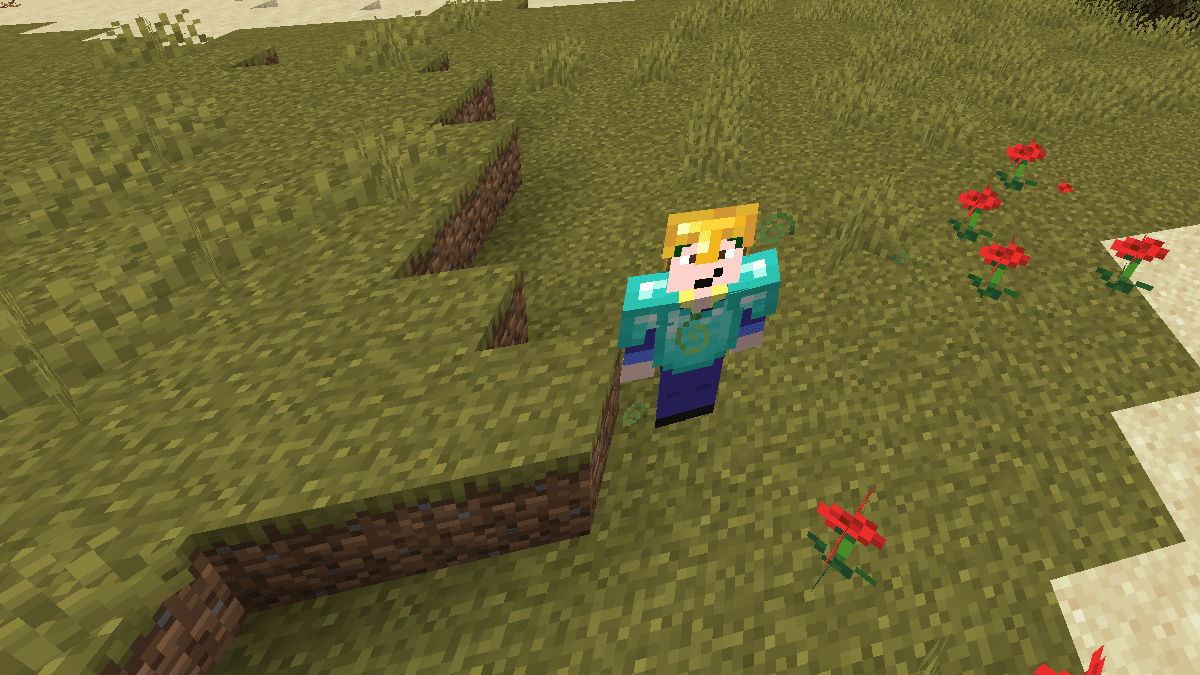 所有Minecraft状态及其含义 - Recmg.com