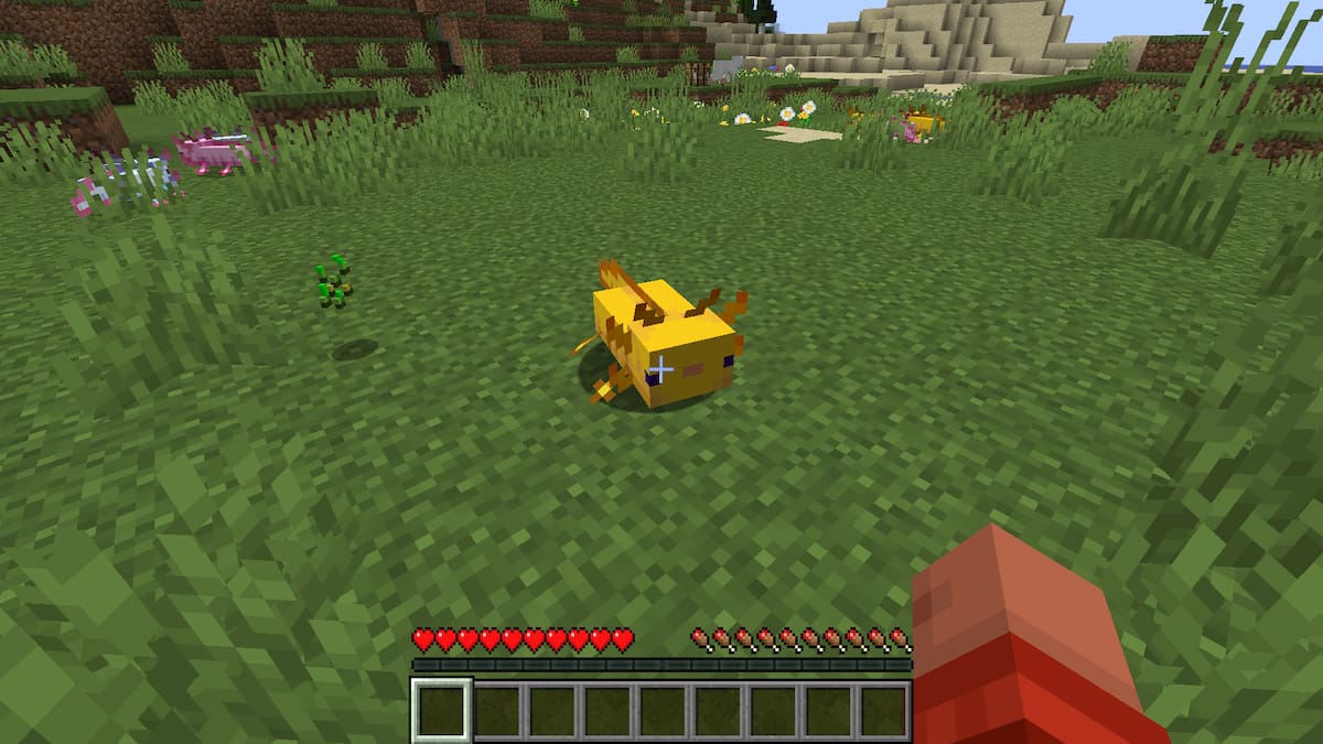 Minecraft 中的所有蝾螈颜色