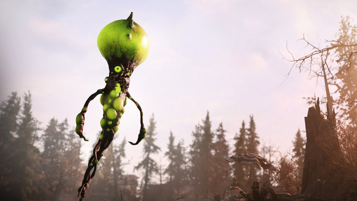 Fallout 76 中哪里可以种植漂浮物 - Recmg.com