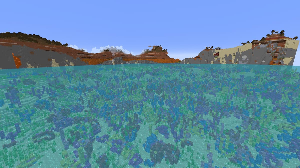 最佳 Minecraft 珊瑚礁种子 – 1.21，基岩和爪哇 (2025) - Recmg.com