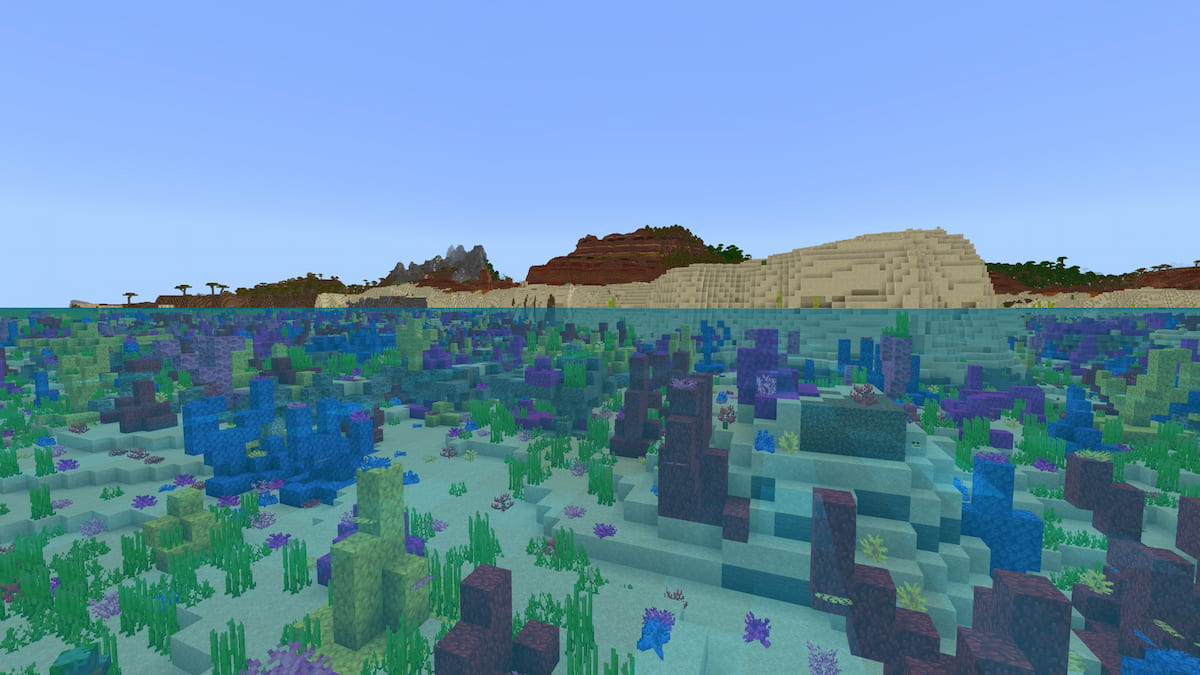 最佳 Minecraft 珊瑚礁种子 – 1.21，基岩和爪哇 (2025) - Recmg.com
