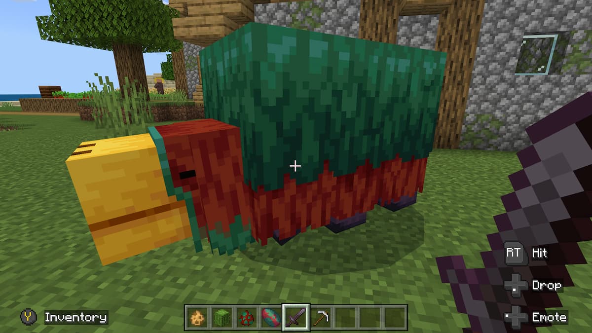 如何在Minecraft中繁殖嗅探者 - Recmg.com