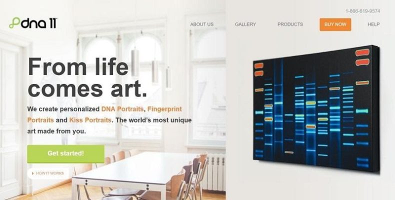 DNA 11如何从您的DNA制作艺术 - Recmg.com