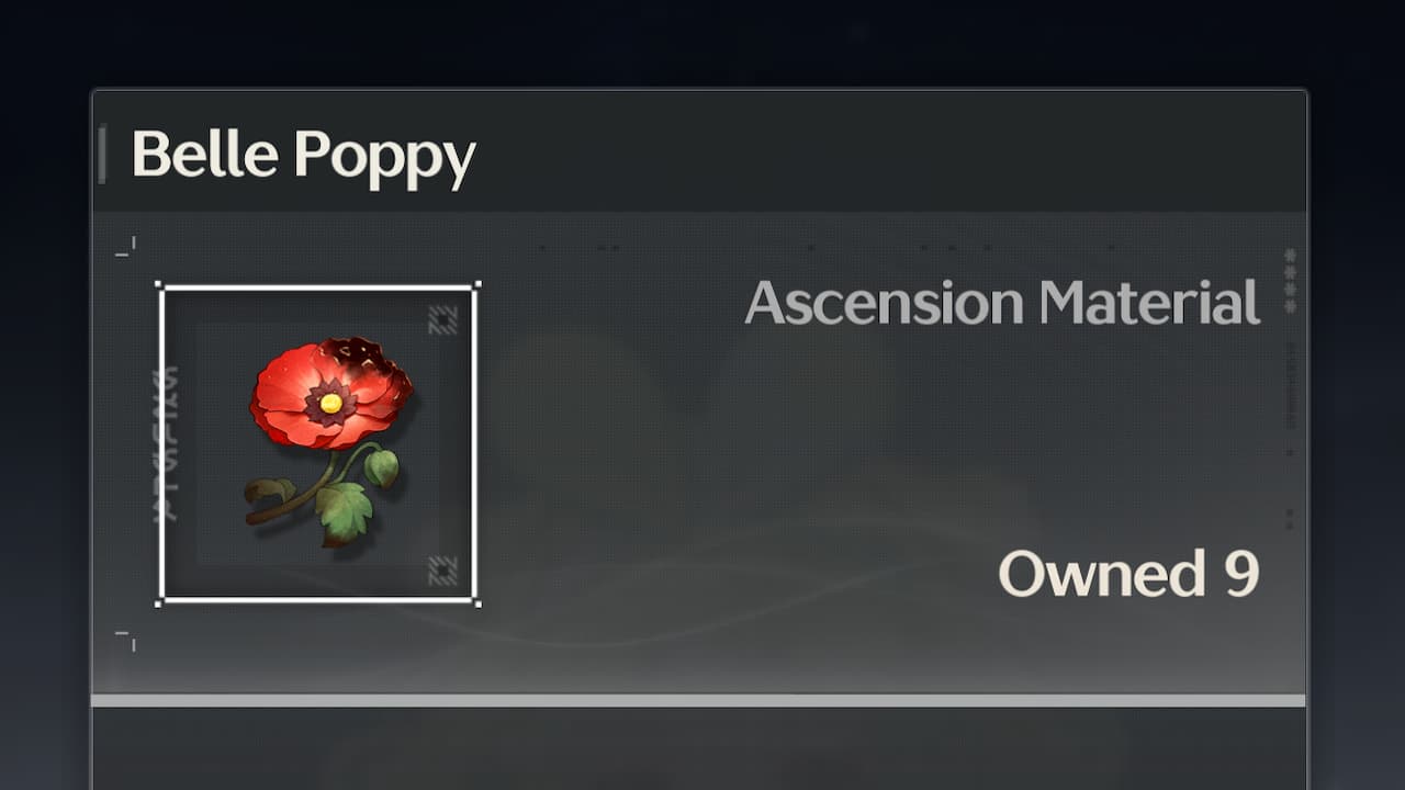 如何在《呼啸浪潮》中培养贝尔·波比来提升角色 - Recmg.com