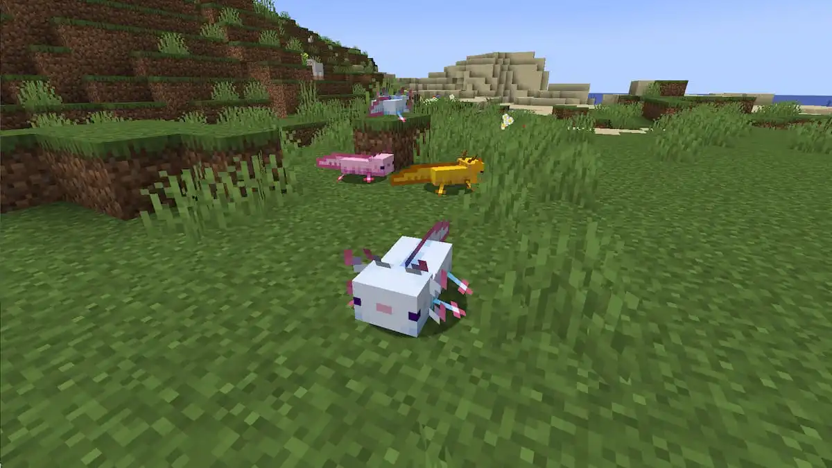 Minecraft 中的所有蠑螈顏色 - Recmg.com