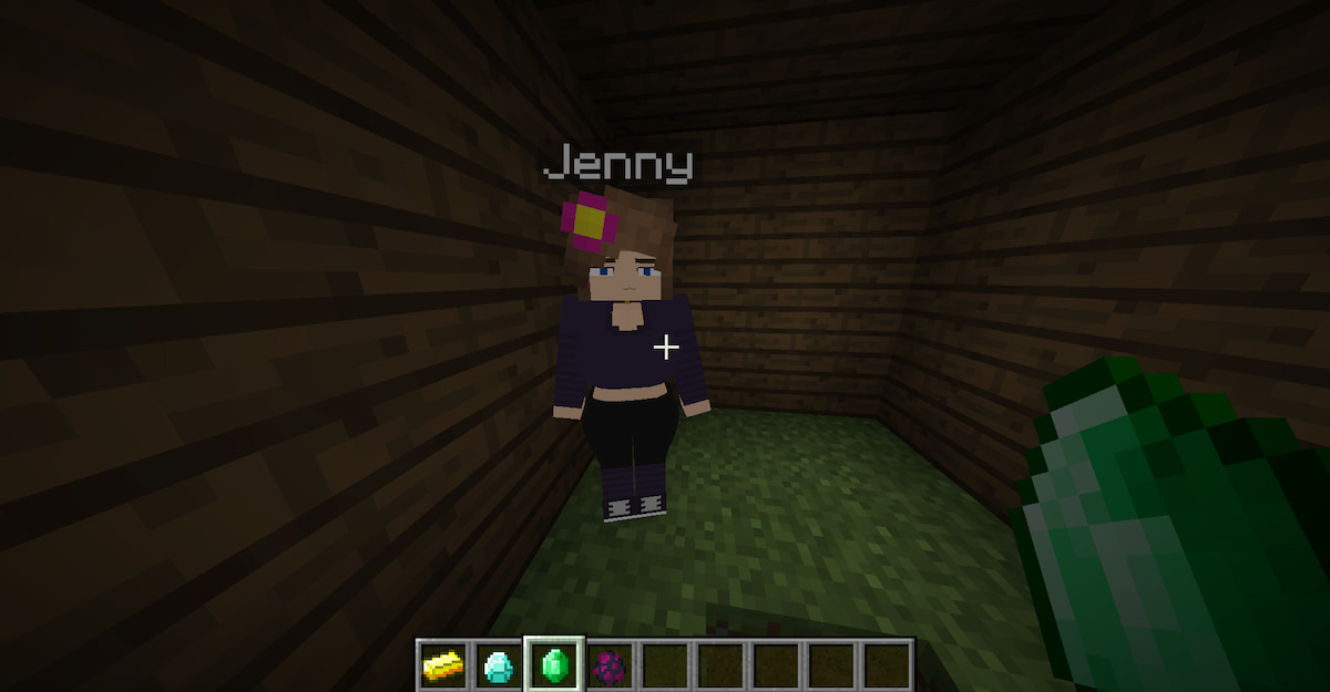 Minecraft Jenny Mod - 您需要知道的一切 - Recmg.com
