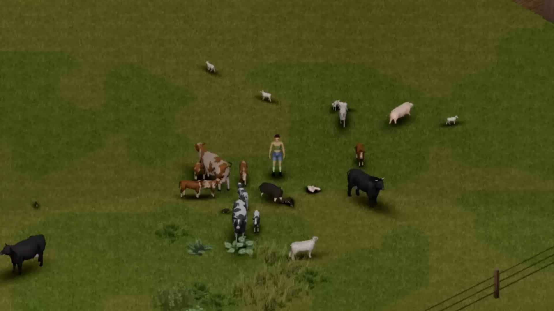 Zomboid 項目：如何飼養動物指南 | 42號樓 - Recmg.com