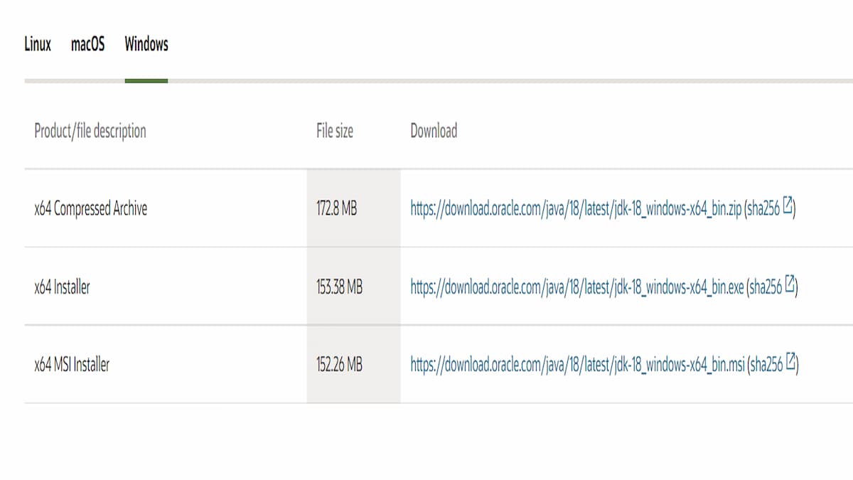 如何修復 Minecraft 中發生的 JNI 錯誤 - Recmg.com